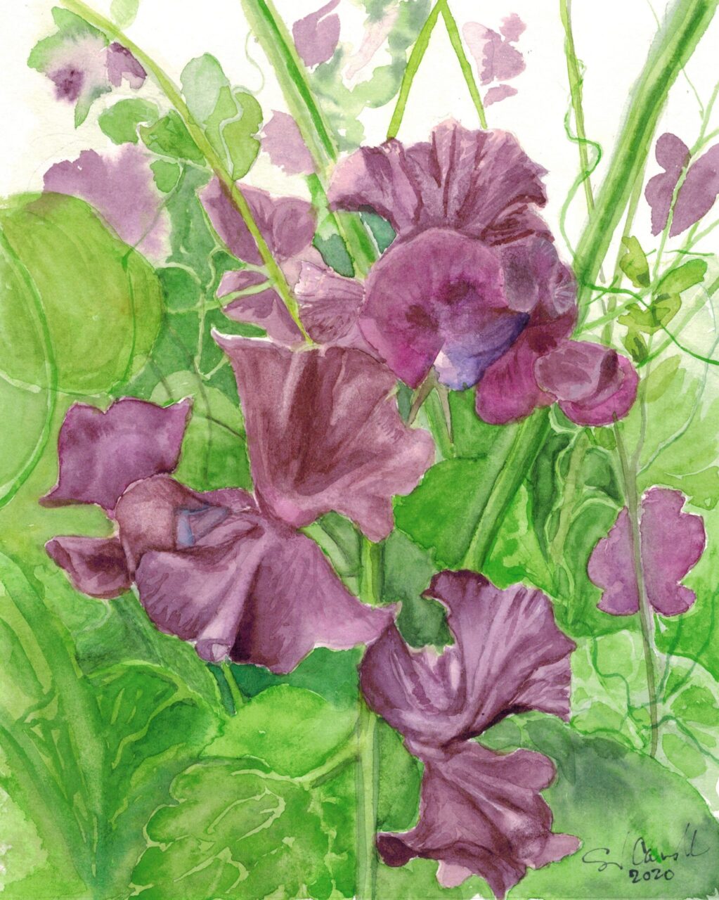 Home - Art du Canape - Susan Carroll, Artist